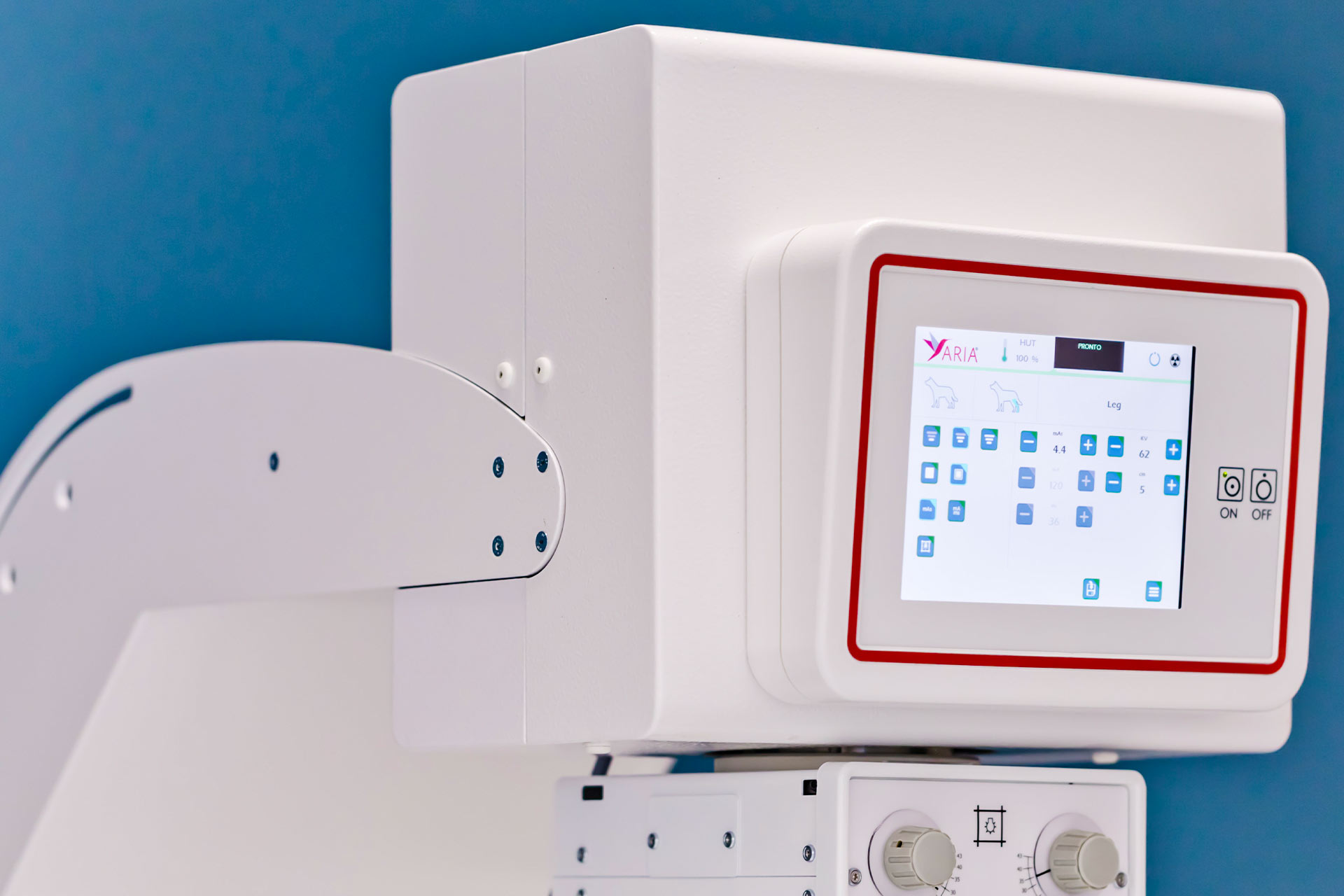 Ambulatorio Veterinario Dr. Andrea Curci | Cura degli animali a ...