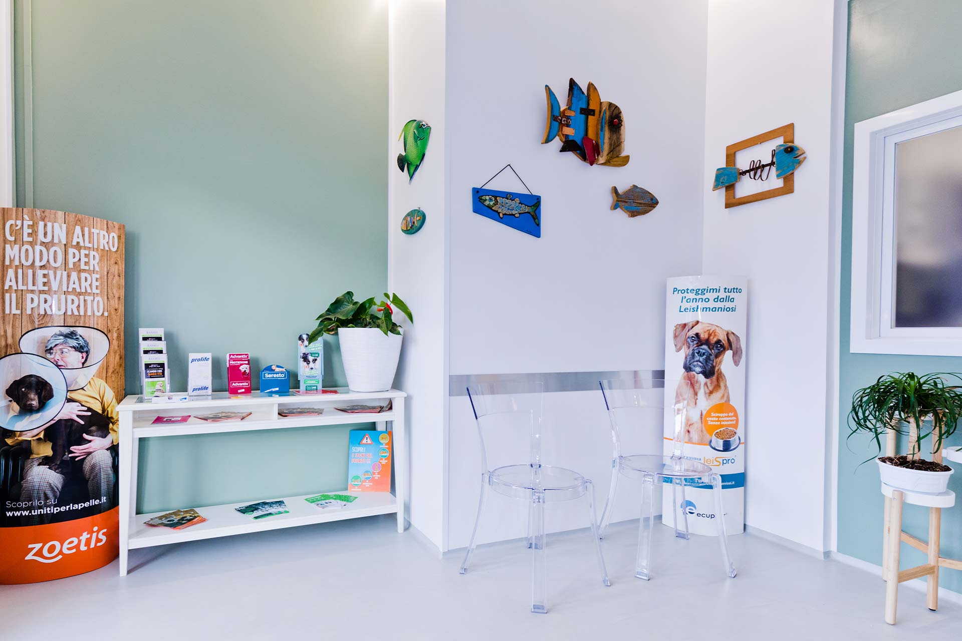 Ambulatorio Veterinario Dr. Andrea Curci | Cura degli animali a ...